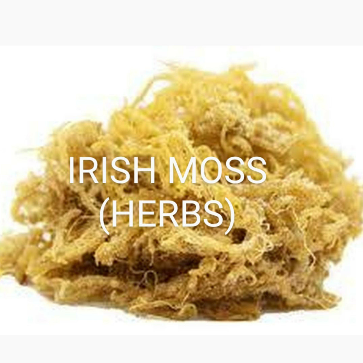 Irish moss 100g – Caribbeanspices
