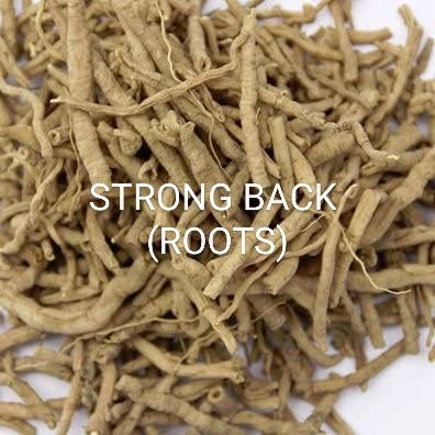 Strong Back (bark) 100g – Caribbeanspices